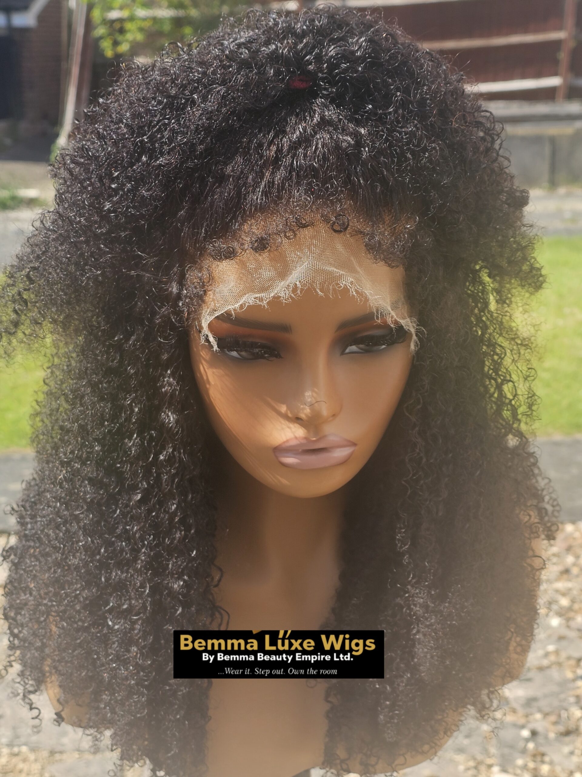 Raw Virgin Human Hair Afro kinky Curls with 4C hybrid hairline 7by7 HD ...